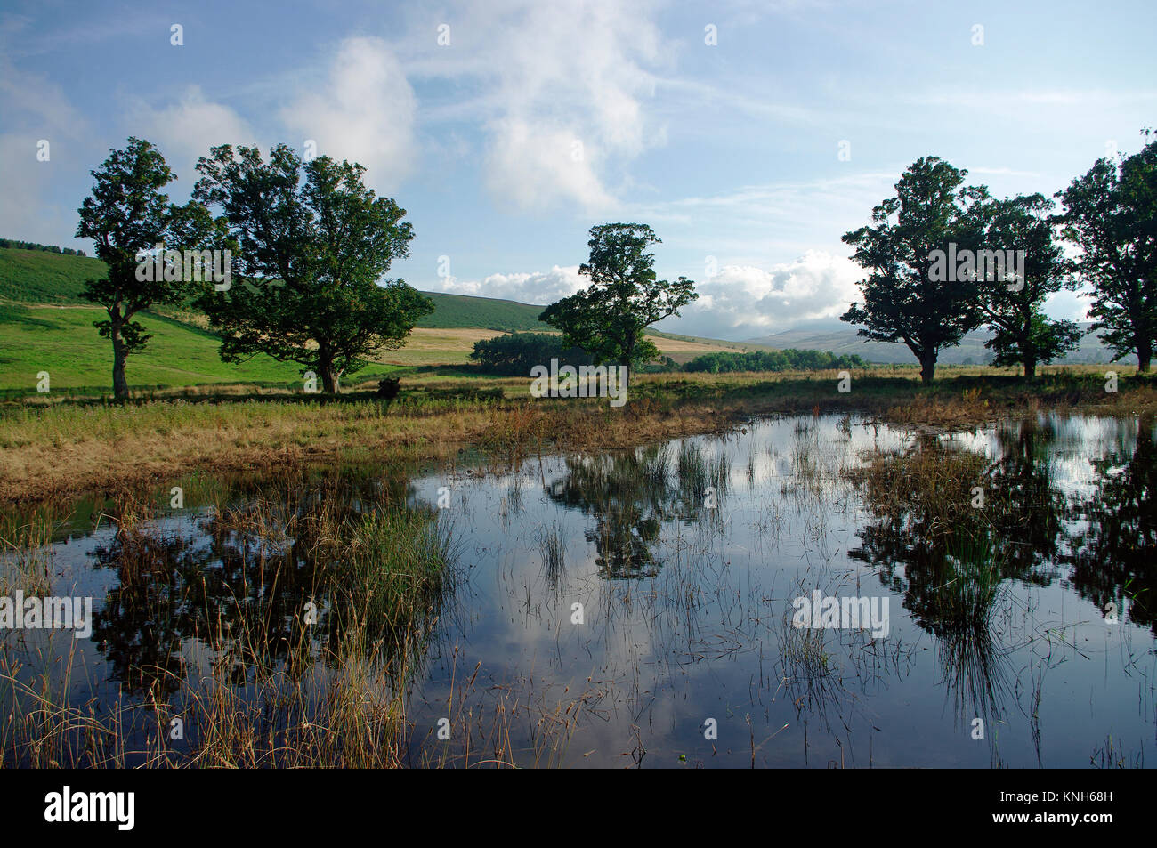 Wooler water hi-res stock photography and images - Alamy