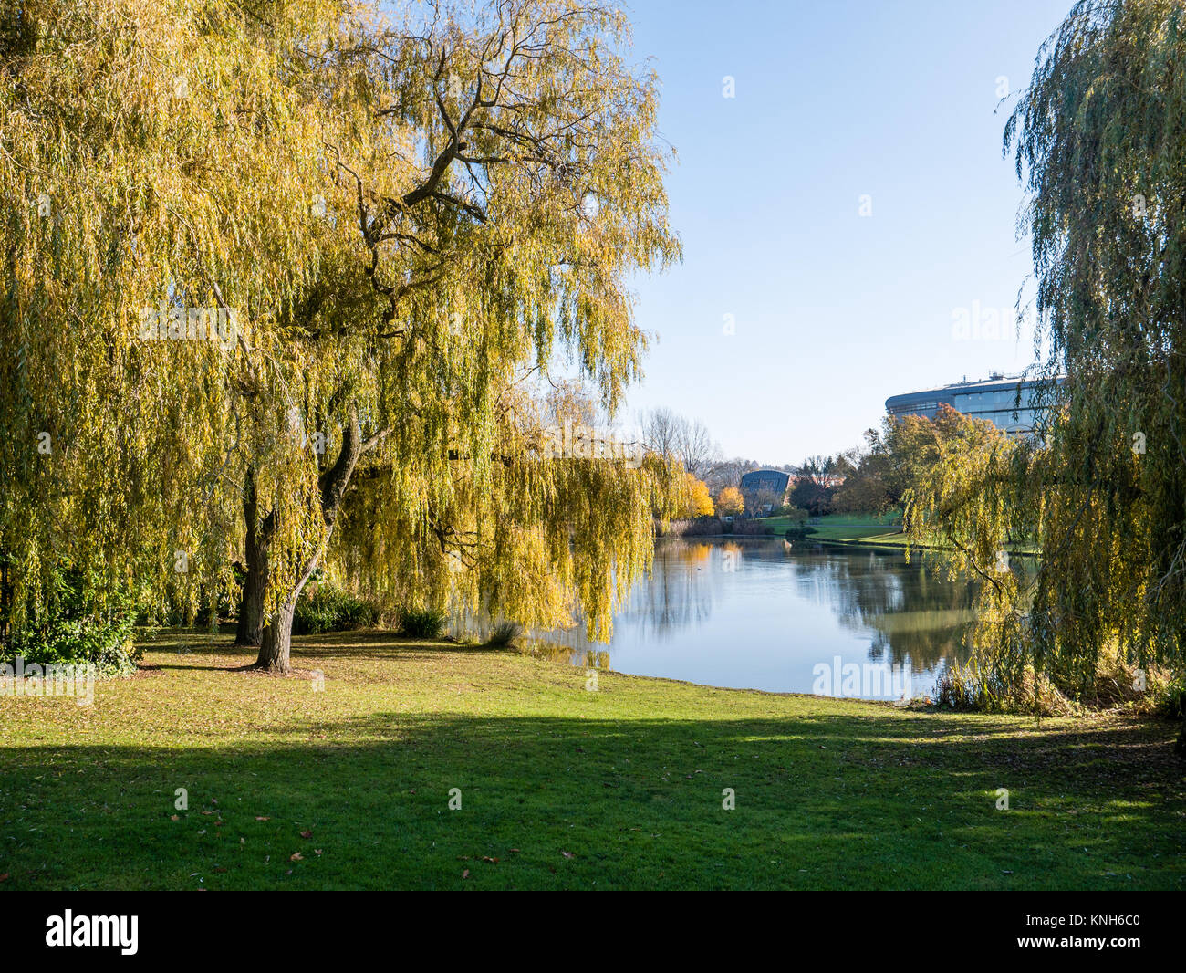 University of Surrey Grounds, with Duke of Kent Building, Guildford ...