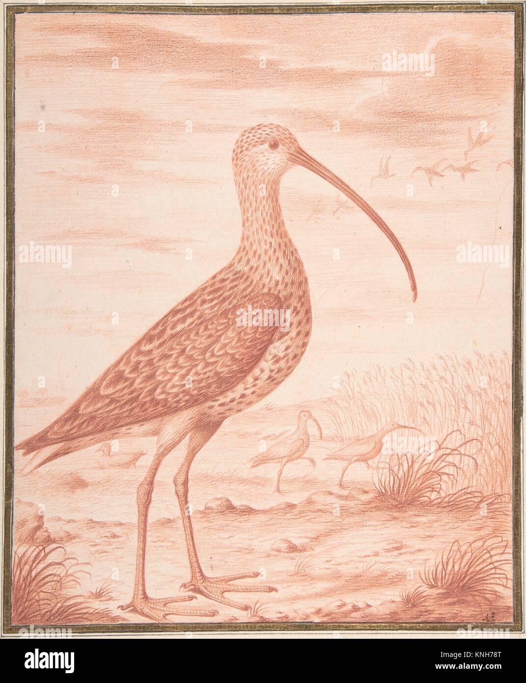 Nicolas robert hi-res stock photography and images - Alamy