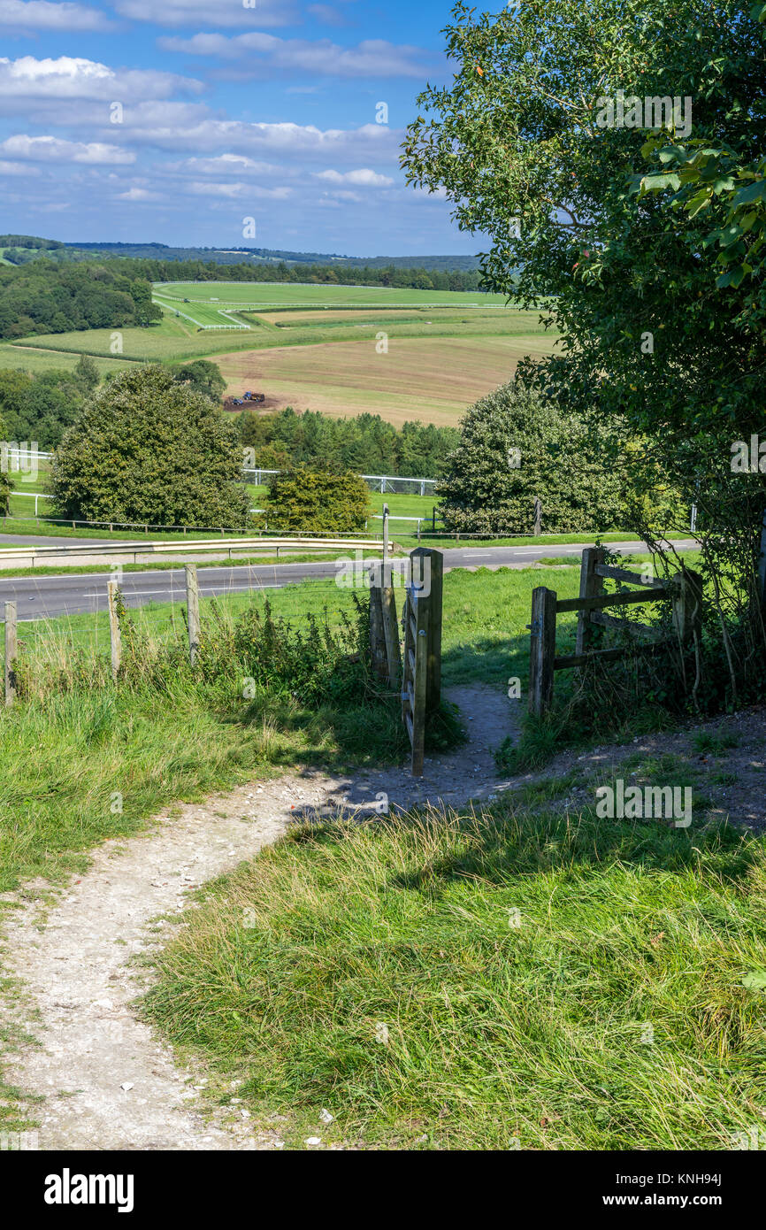 Walks the path to the gate in goodwood, South downs Stock Photo - Alamy