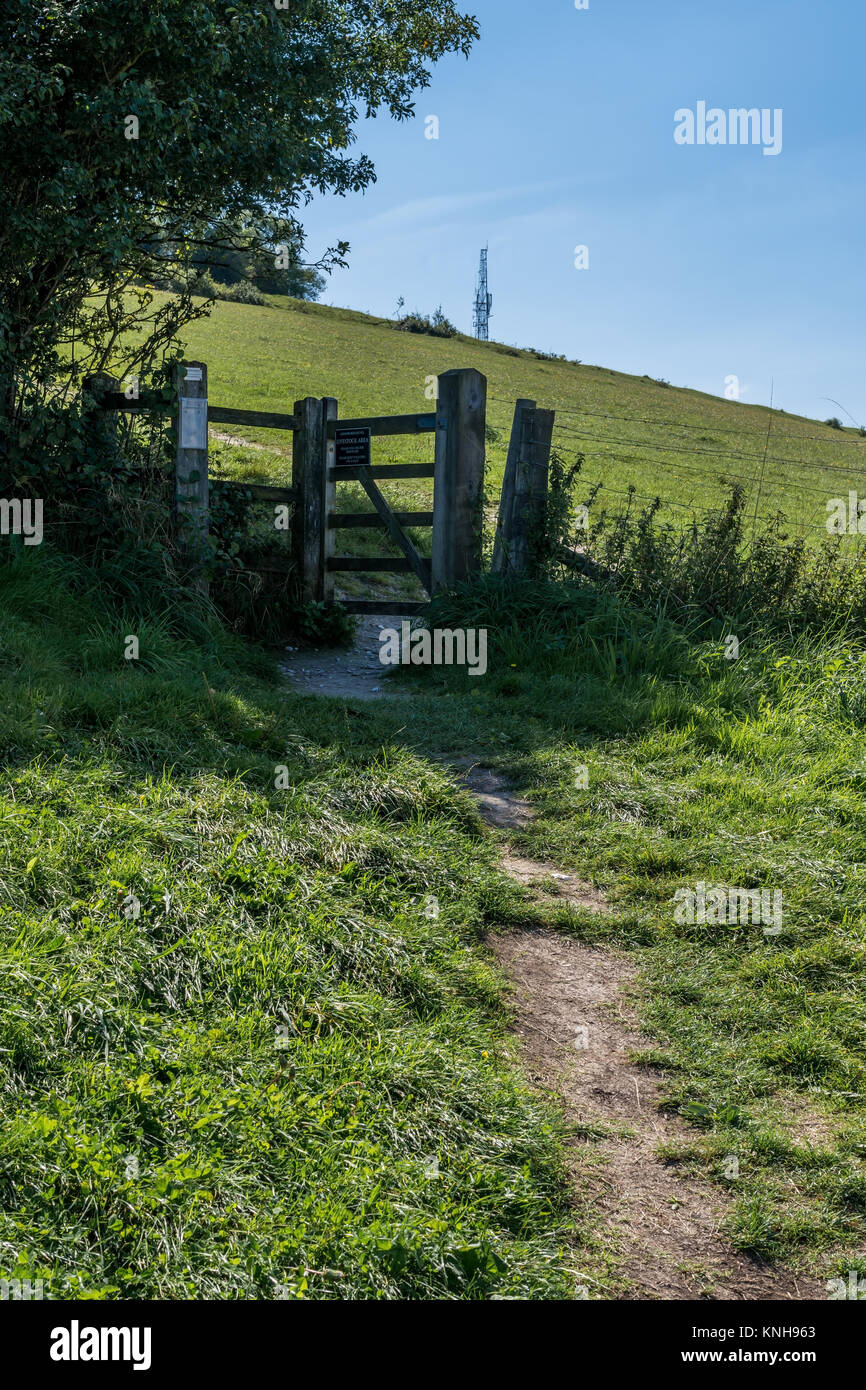 Goodwood country park hi-res stock photography and images - Alamy