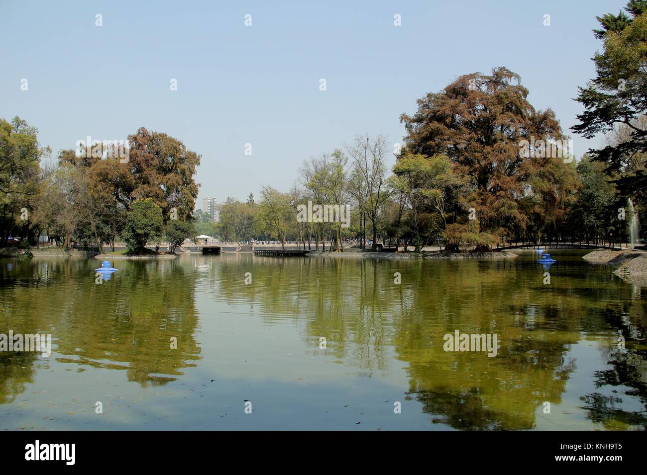 Bosque de Chapultepec, Lago Menor. Mexico city Stock Photo - Alamy