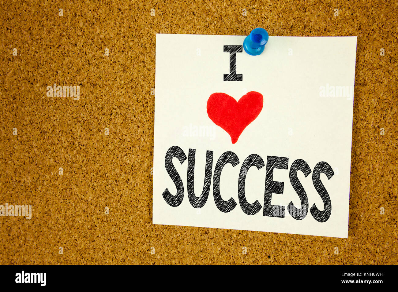 Hand writing text caption inspiration showing I Love Success concept ...