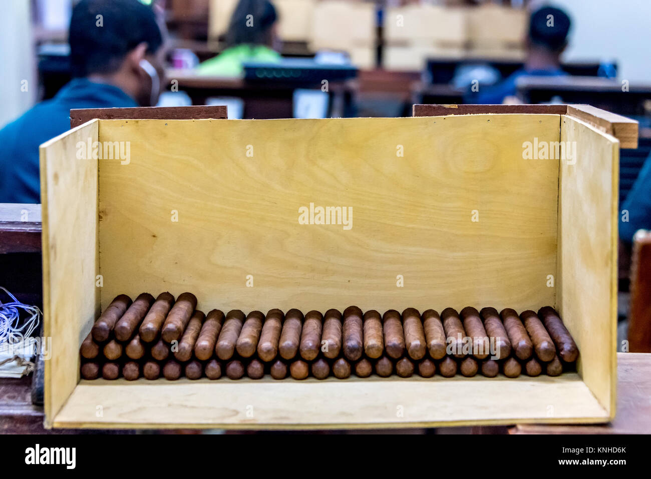 A box of finished, hand-rolled cigars ready to be packaged at Graycliff ...