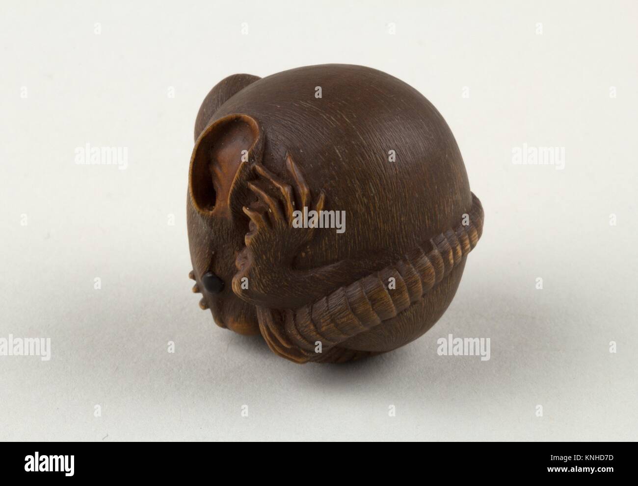 Wood Rat Stock Photos & Wood Rat Stock Images - Alamy