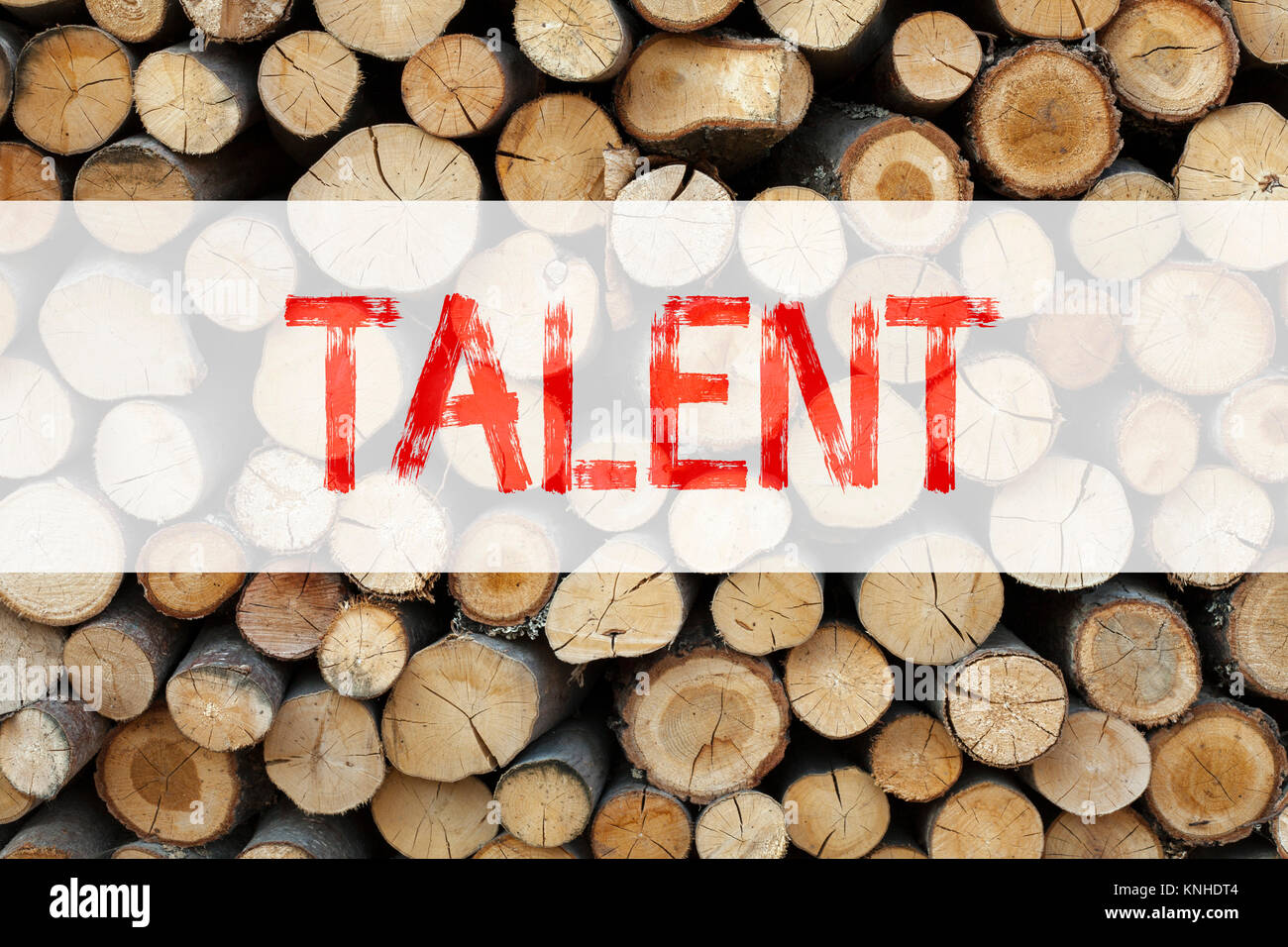 Conceptual announcement text caption inspiration showing Talent ...