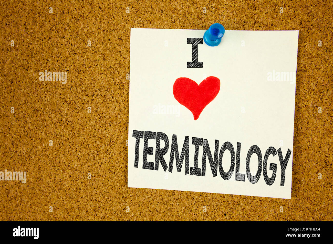 Hand writing text caption inspiration showing I Love Terminology ...