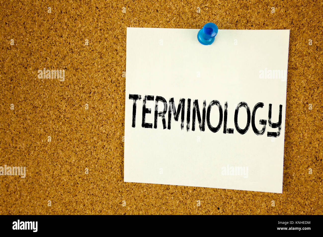 Conceptual hand writing text caption inspiration showing Terminology ...