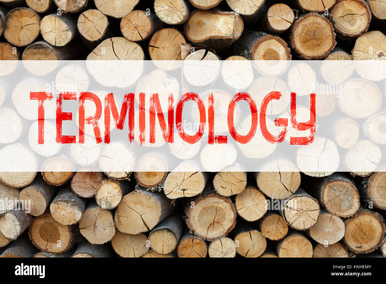 Conceptual announcement text caption inspiration showing Terminology ...