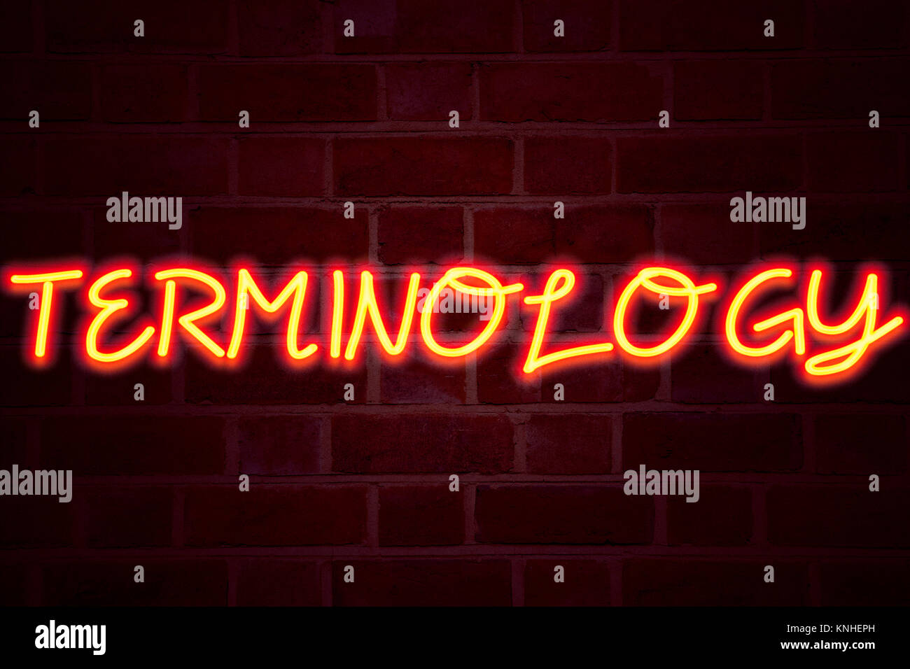 Terminology neon sign on brick wall background. Fluorescent Neon tube ...