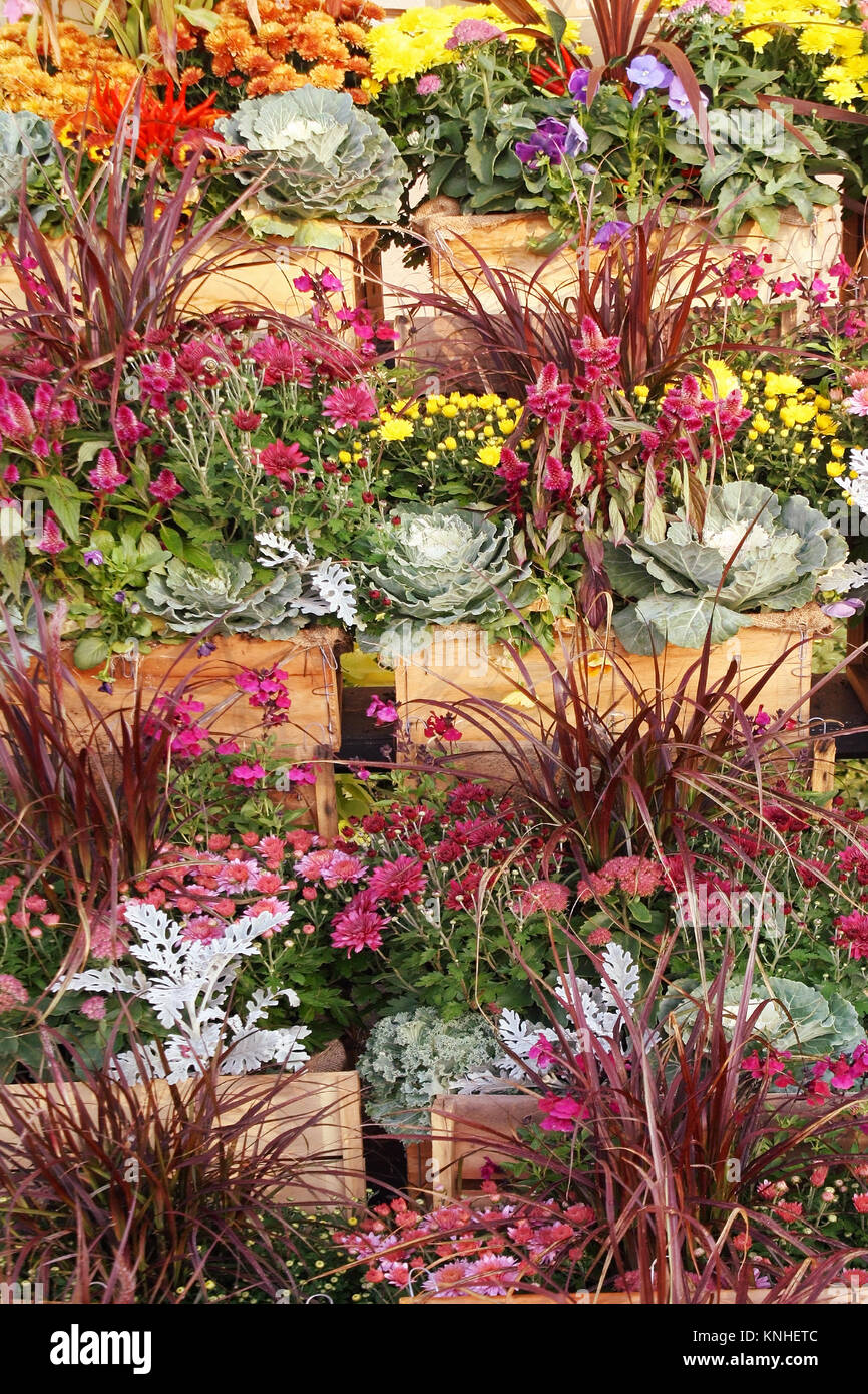 Ornamental containers hi-res stock photography and images - Alamy