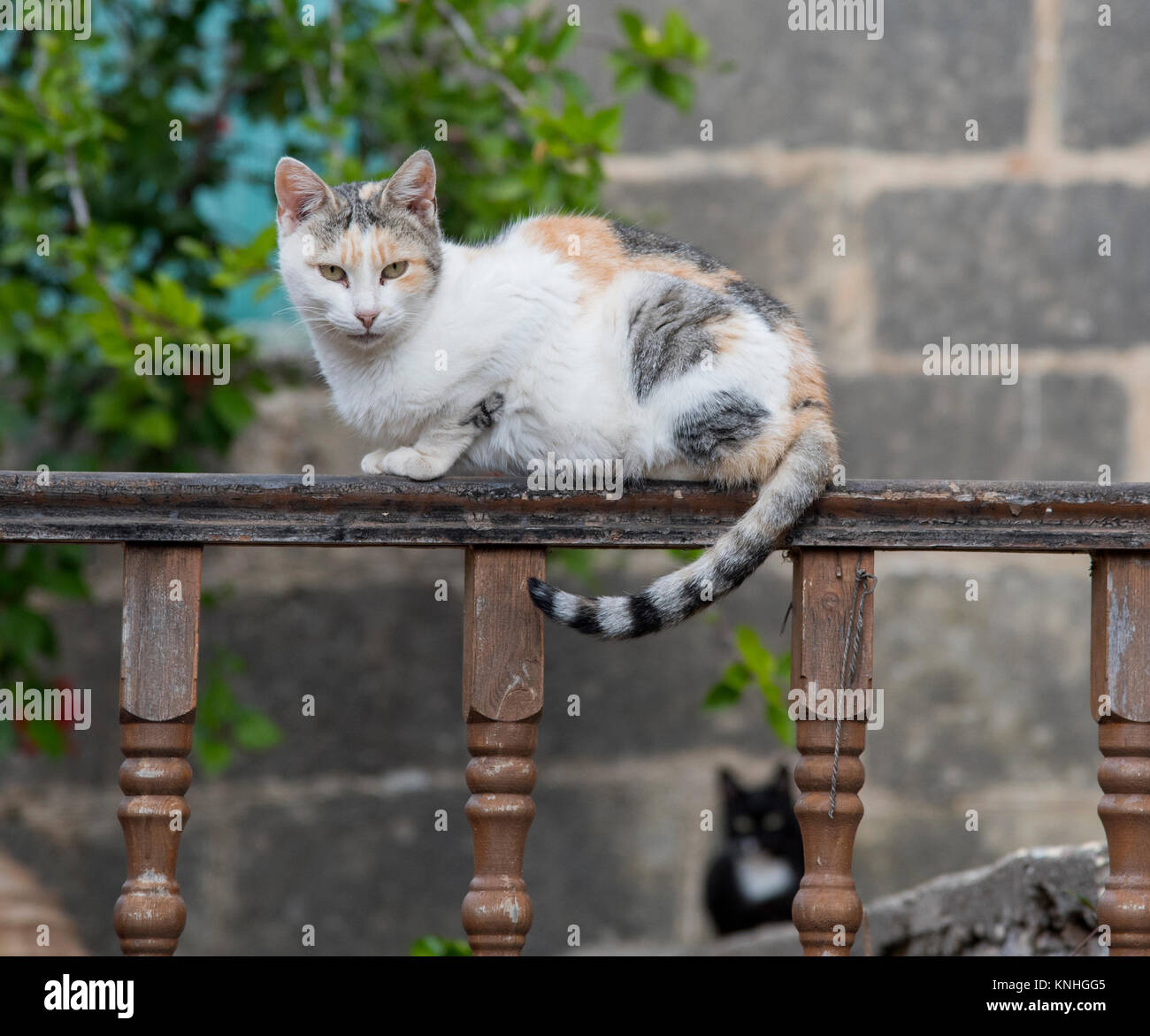 Sitting on handrail hi-res stock photography and images - Alamy