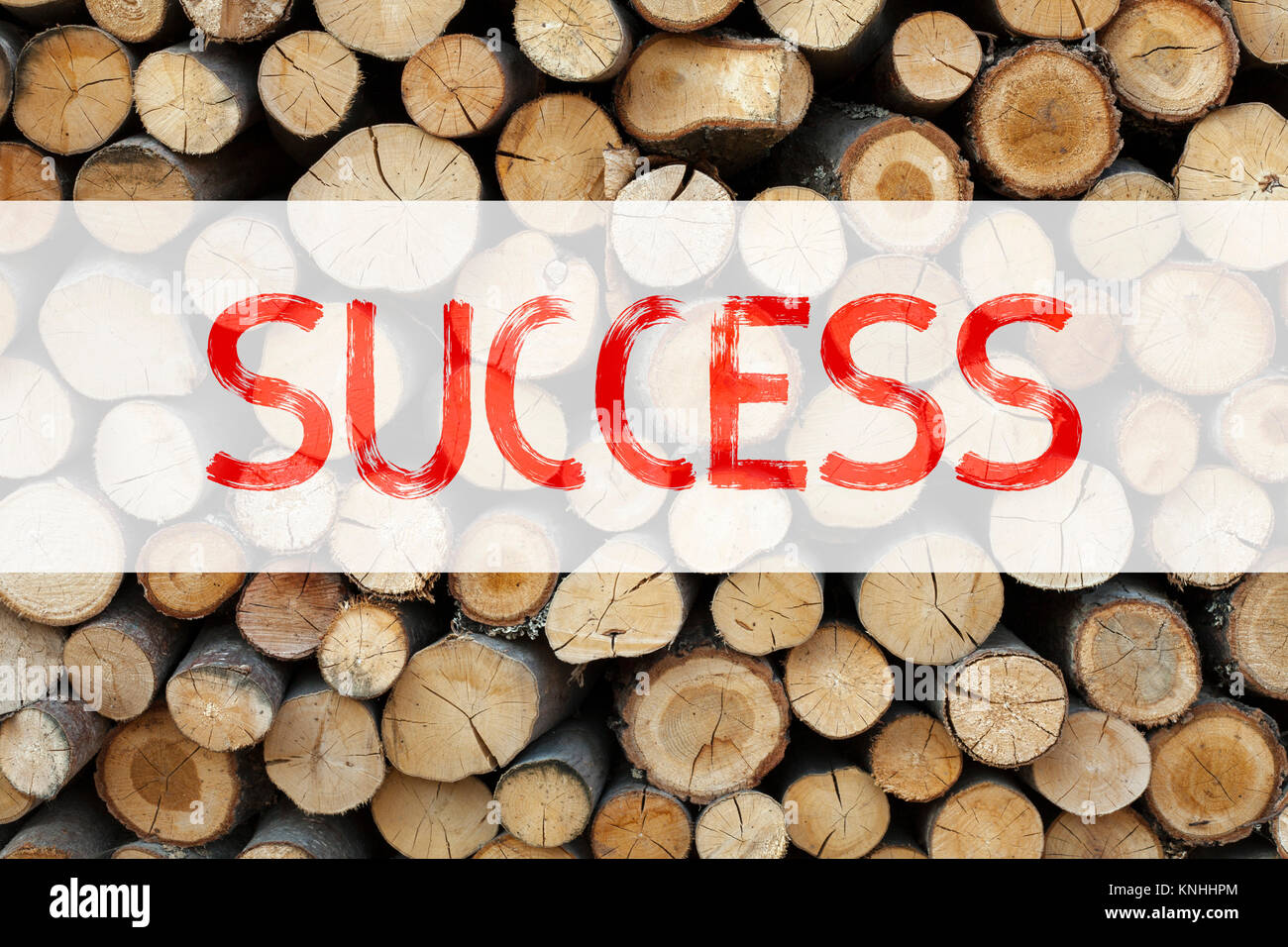 Conceptual announcement text caption inspiration showing Success ...