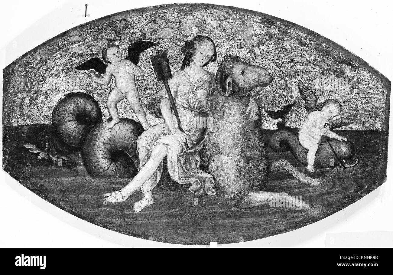 Ram drawn Black and White Stock Photos & Images - Alamy