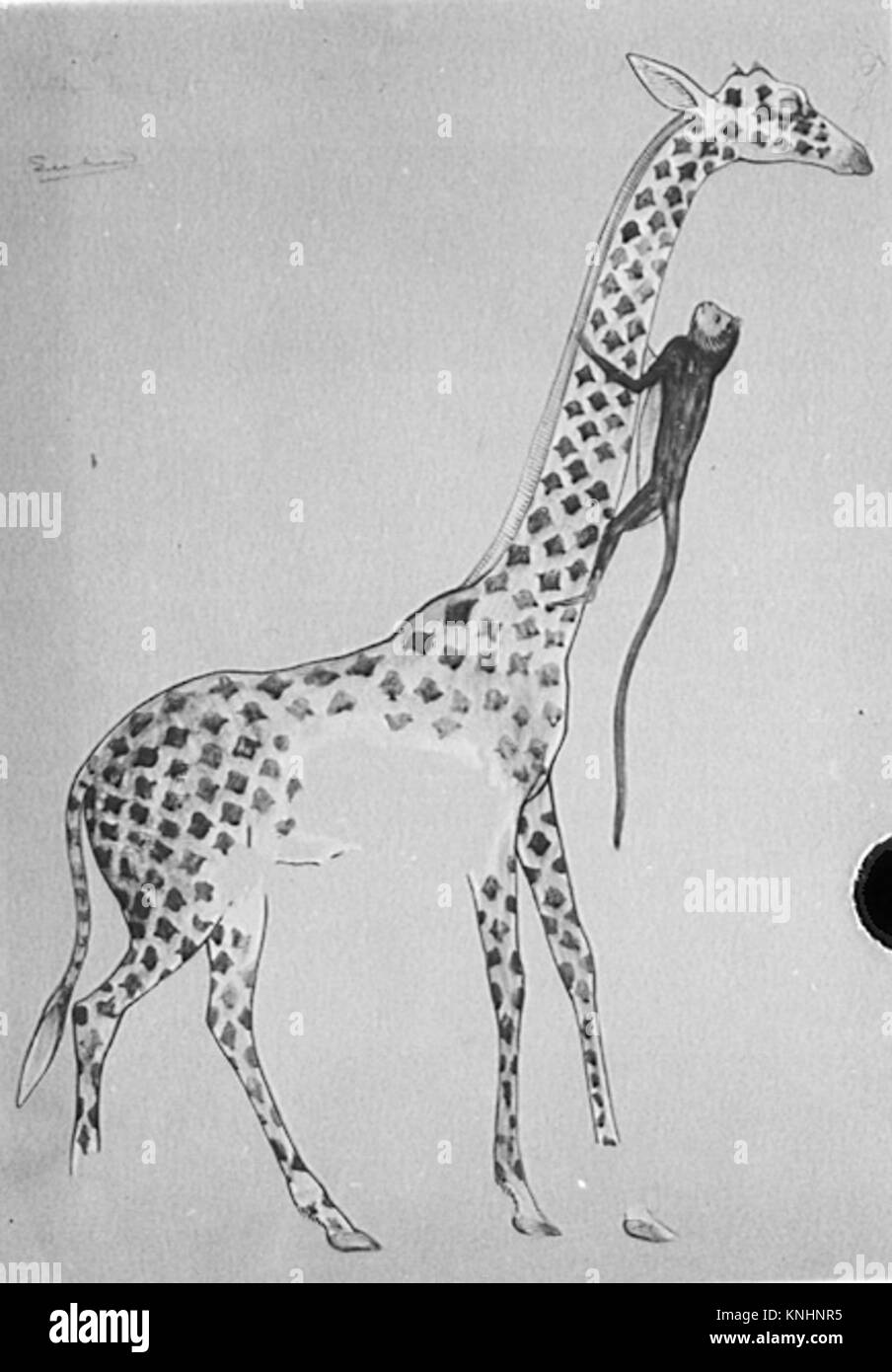 A fresco from the Tomb of Rekhmire depicting a giraffe and a monkey ...