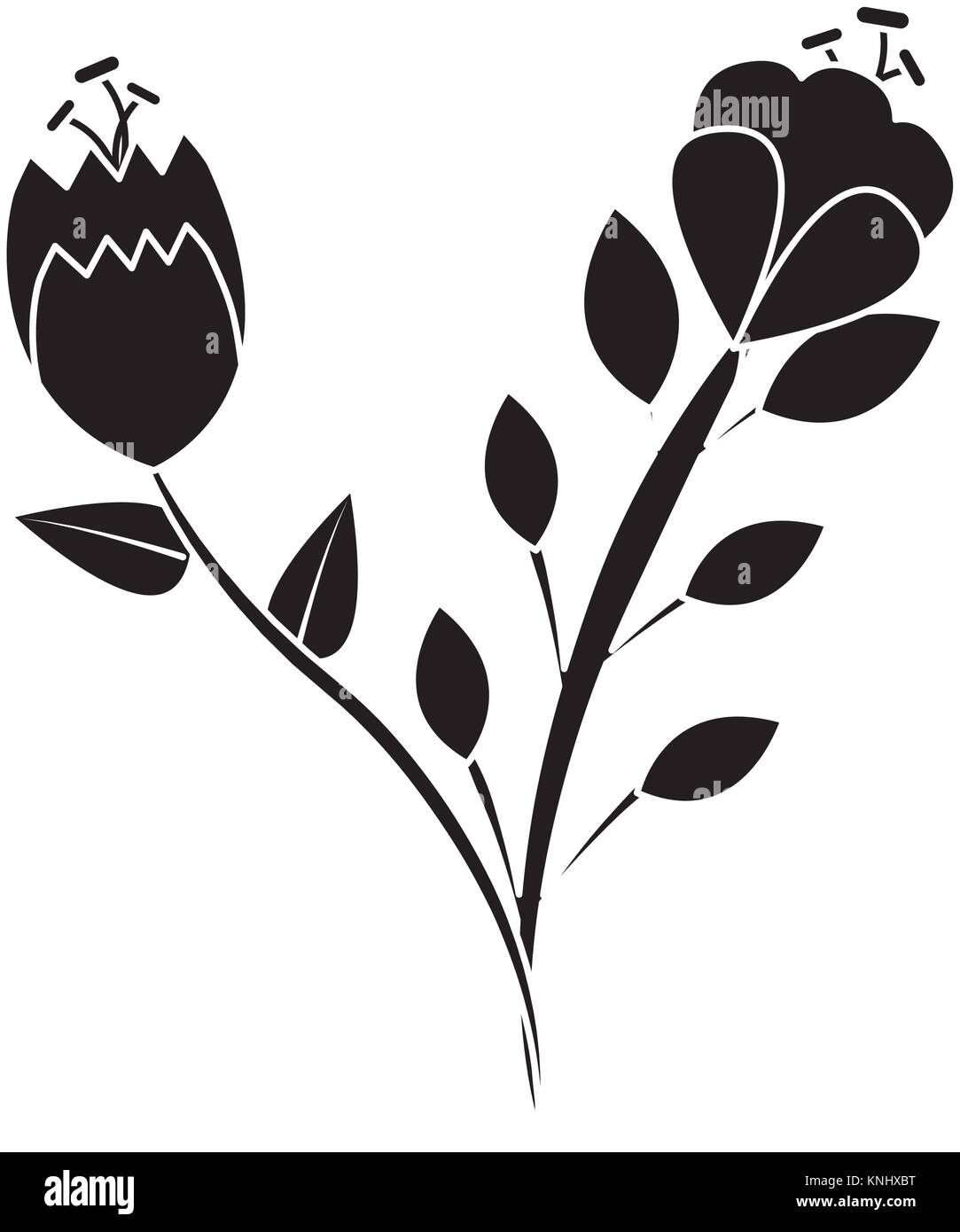 Two purple flowers Stock Vector Images - Alamy