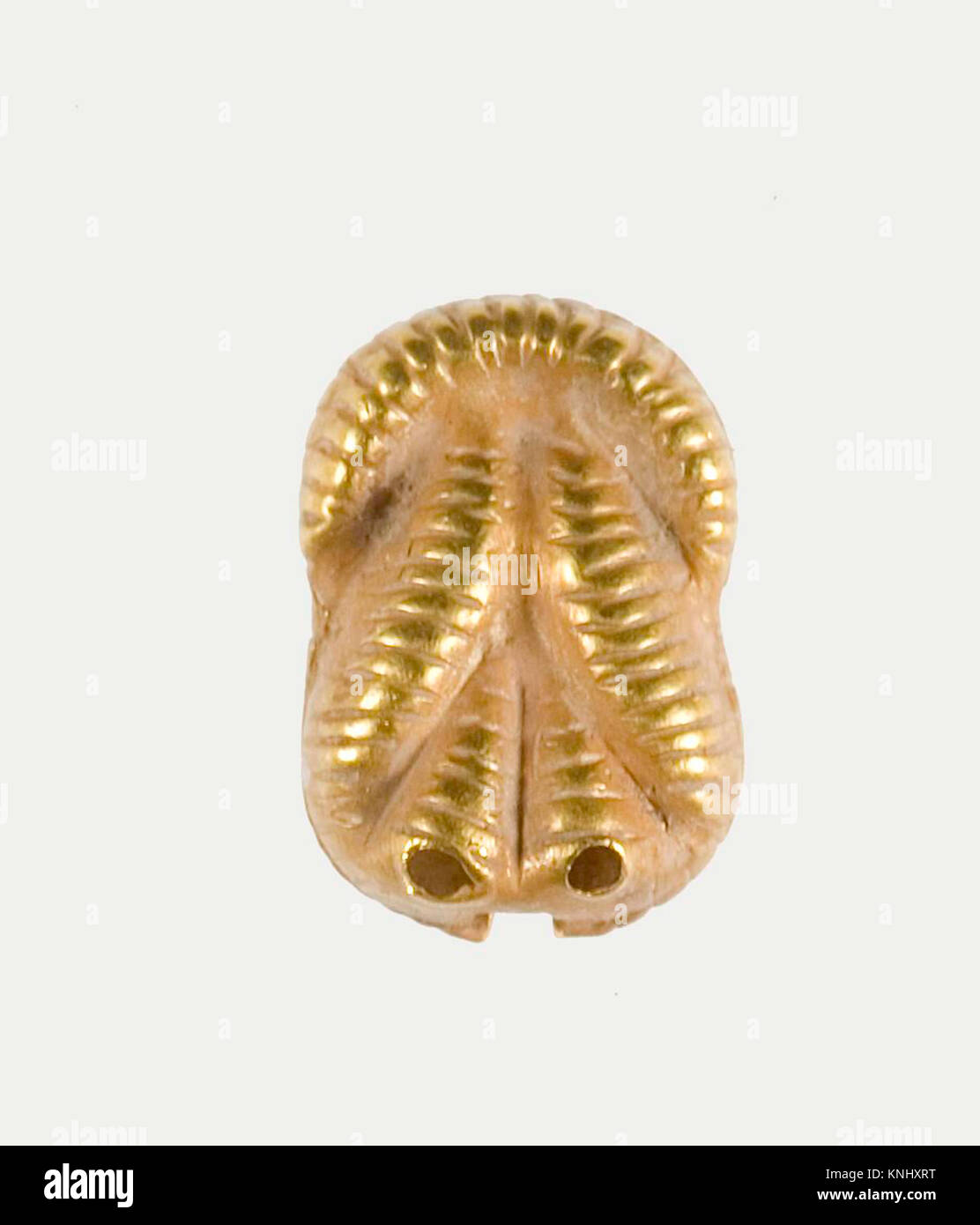 Clasp part hi-res stock photography and images - Alamy