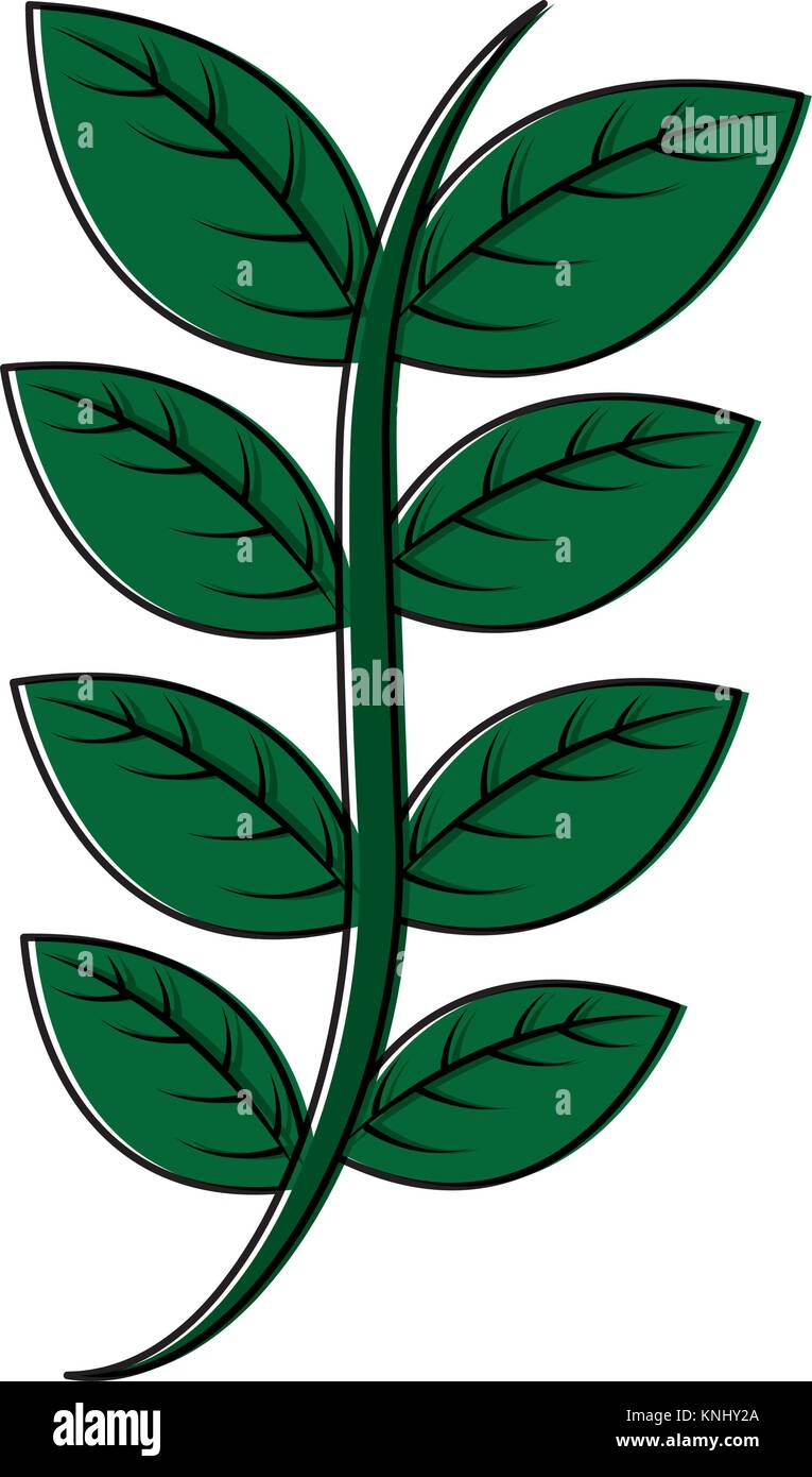 green floral decorative branch leaves plant icon pictogram Stock Vector ...