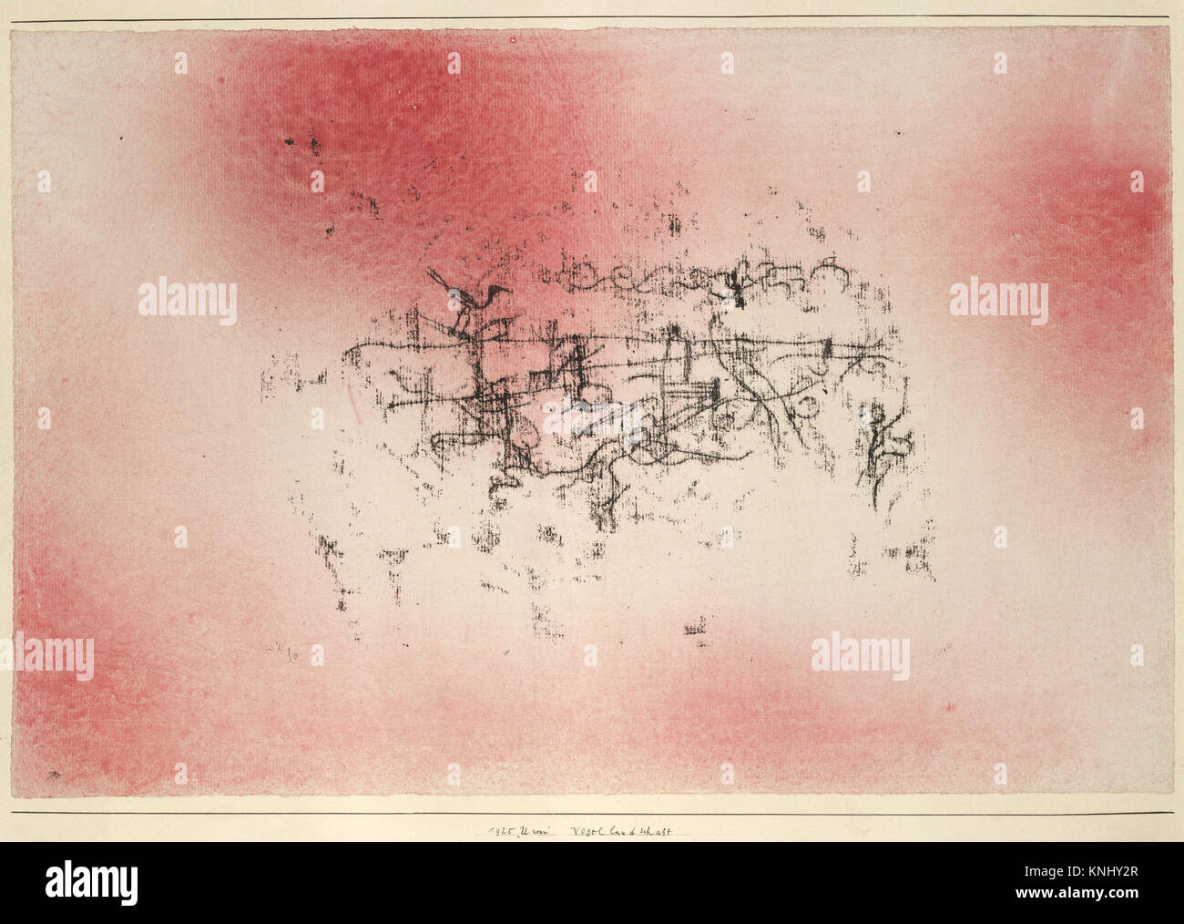 This artwork depicts a bird landscape with multiple species in their ...