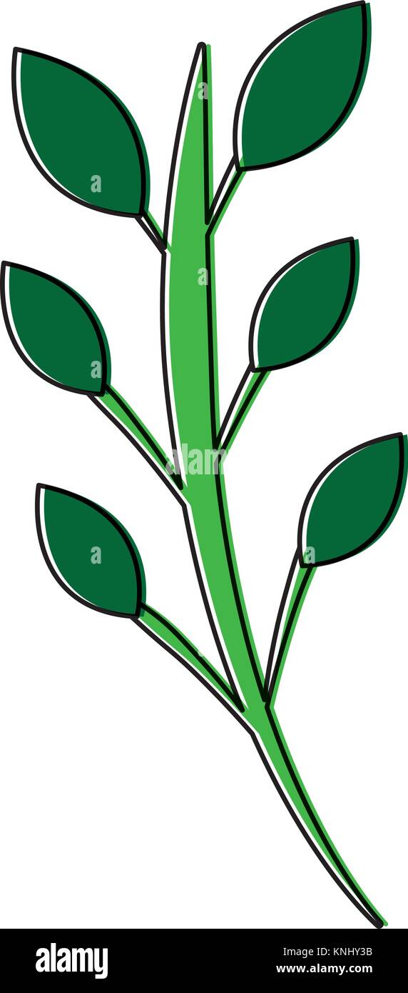 green floral decorative branch leaves plant icon pictogram Stock Vector ...