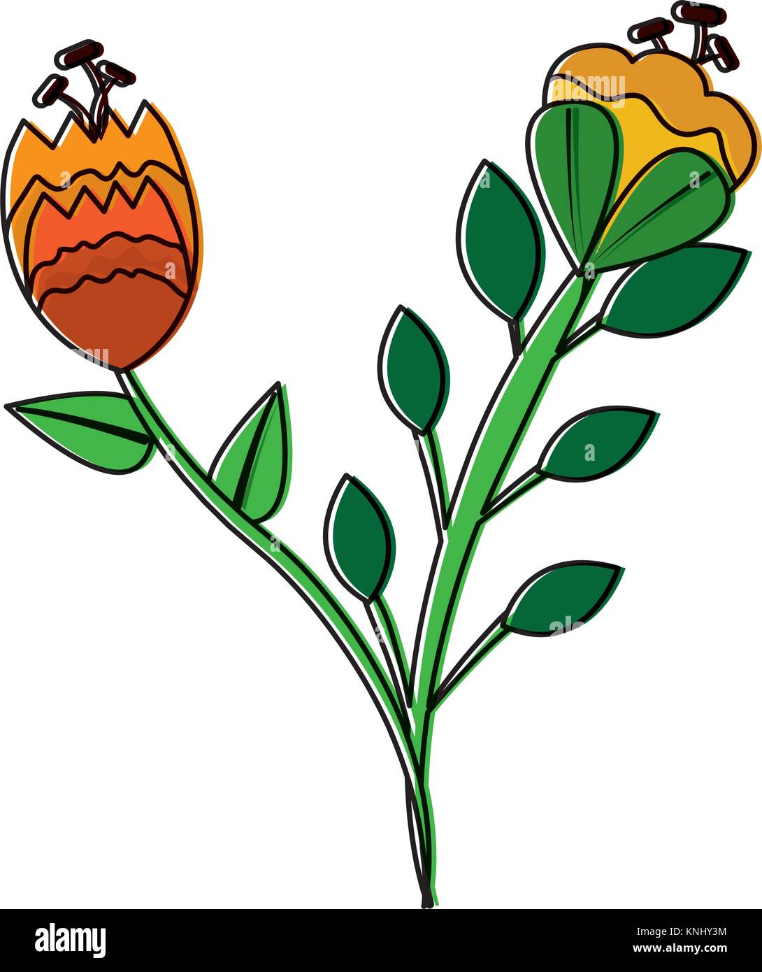 Rose stem two Stock Vector Images - Alamy