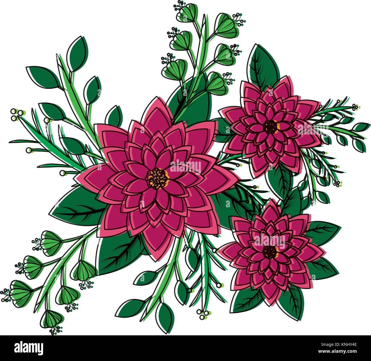 flowers natural leaves branch botanical arrangement Stock Vector Image ...