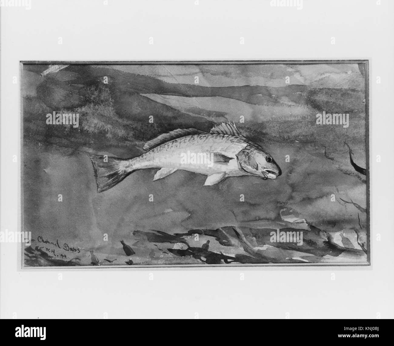 Bass detail Black and White Stock Photos & Images - Alamy