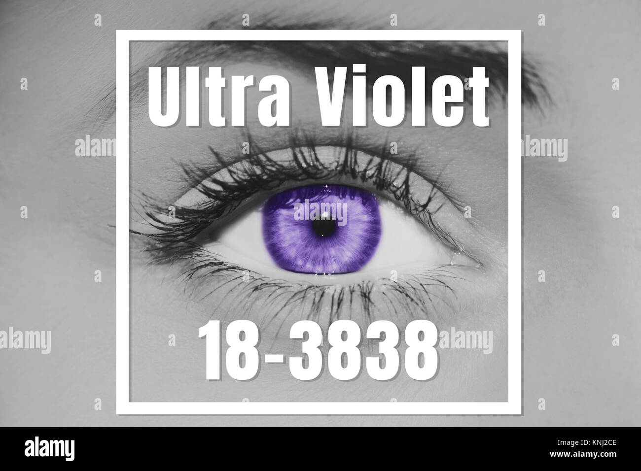 Bw ultra hi-res stock photography and images - Alamy