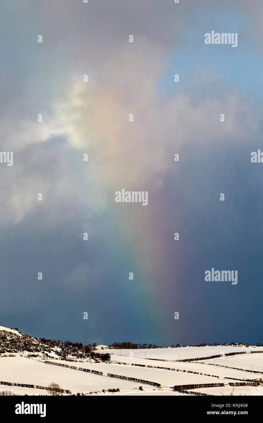rainbow over snow covered fields near newtownabbey northern ireland uk ...