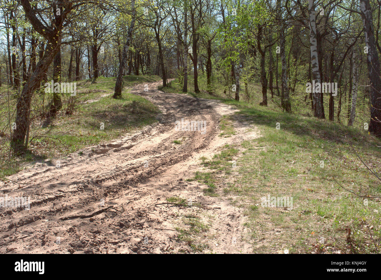 dirt road on hill groves Stock Photo - Alamy