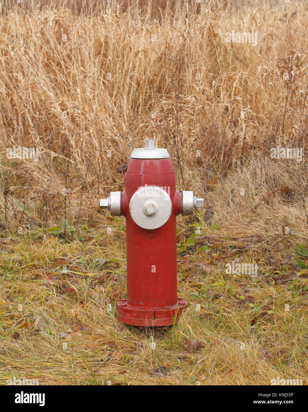 Fire hydrant in tall grassy area Stock Photo - Alamy
