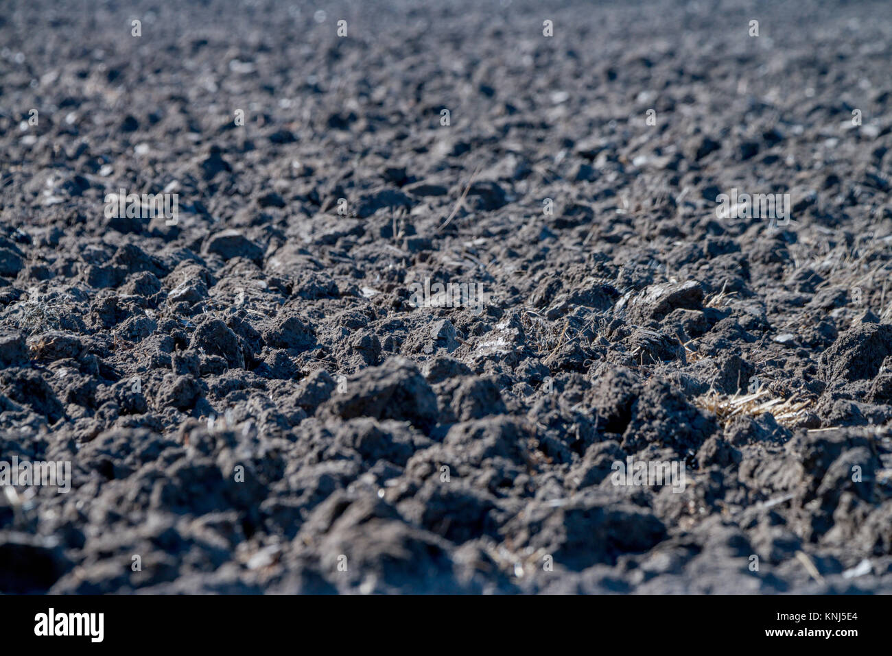 Dirty Soil Stock Photos & Dirty Soil Stock Images - Alamy