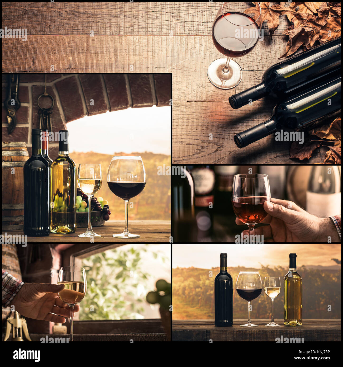 Winemaking and wine tasting photo collage: wine glasses and bottles ...