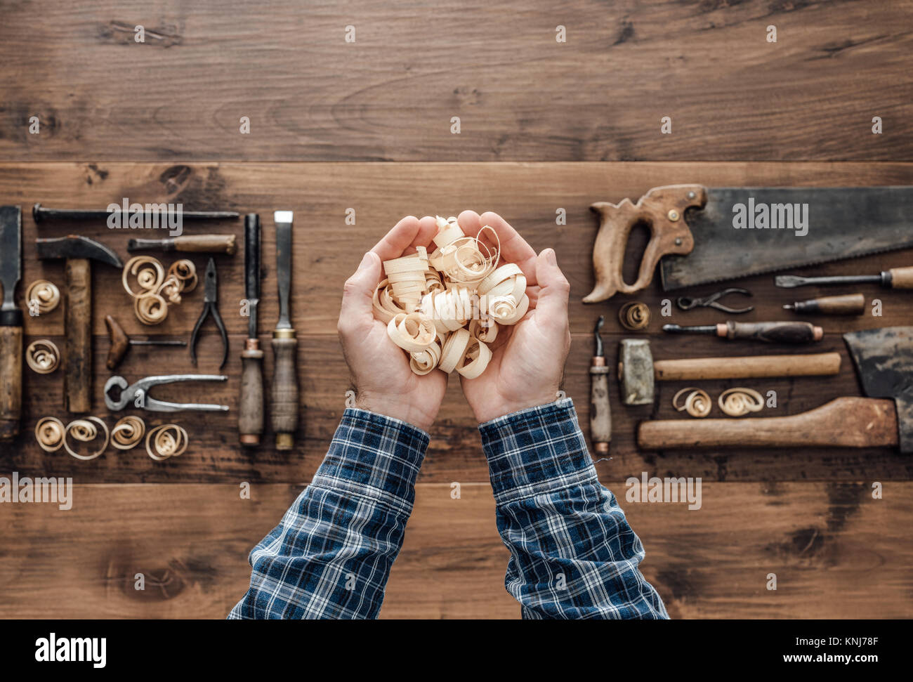 Professional carpenter holding wood shavings and vintage woodworking ...