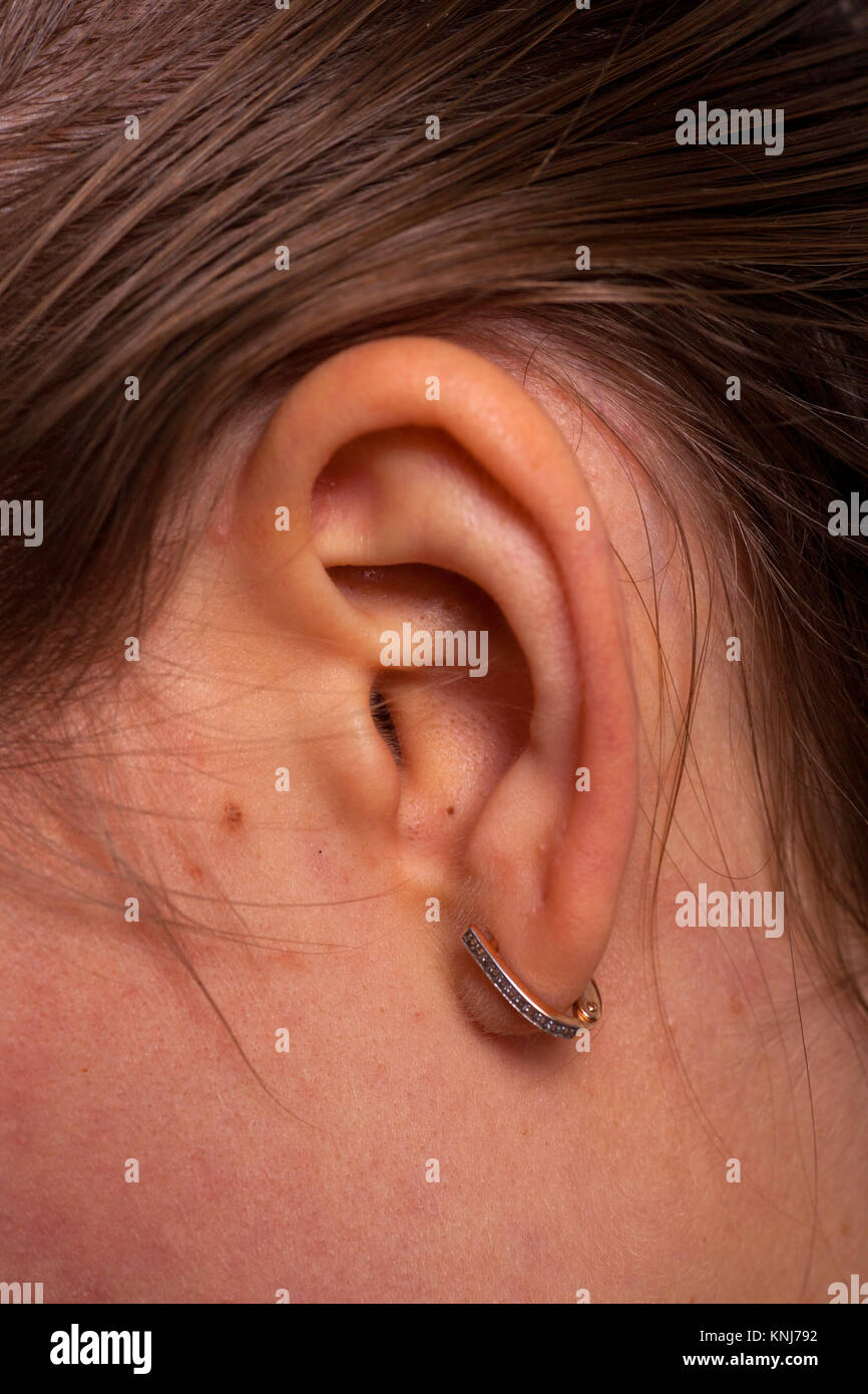 ear of a young healthy girl Detail of the head with female human ear ...