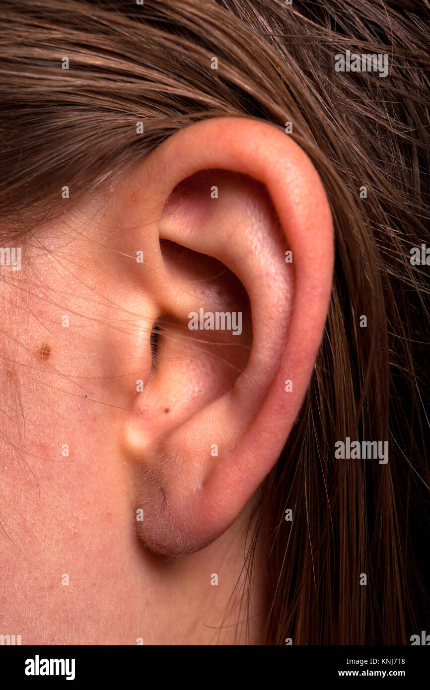 ear of a young healthy girl Detail of the head with female human ear ...