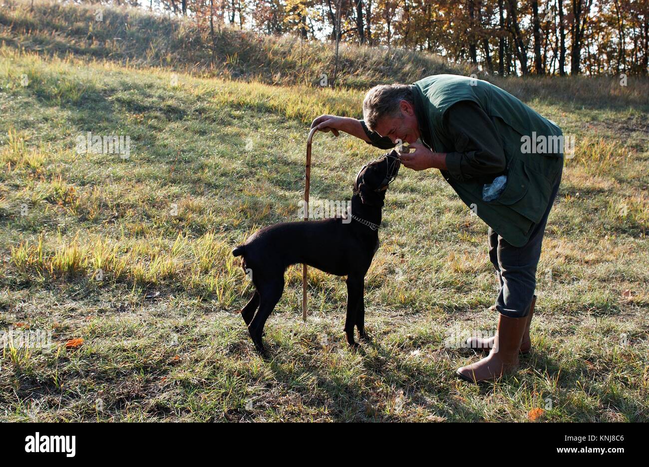 Truffle harvester hi-res stock photography and images - Alamy