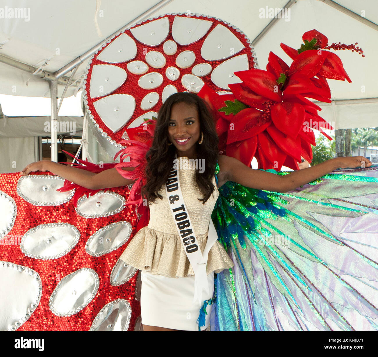 DORAL, FL - JANUARY 21: Jevon King, Miss Trinidad & Tobago 2014, tries ...
