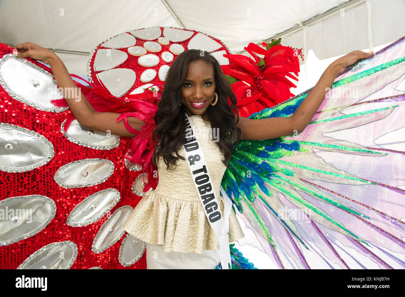 DORAL, FL - JANUARY 21: Jevon King, Miss Trinidad & Tobago 2014, tries ...