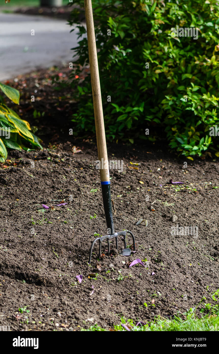 agricultural implements - pitchfork stuck in the ground among green ...