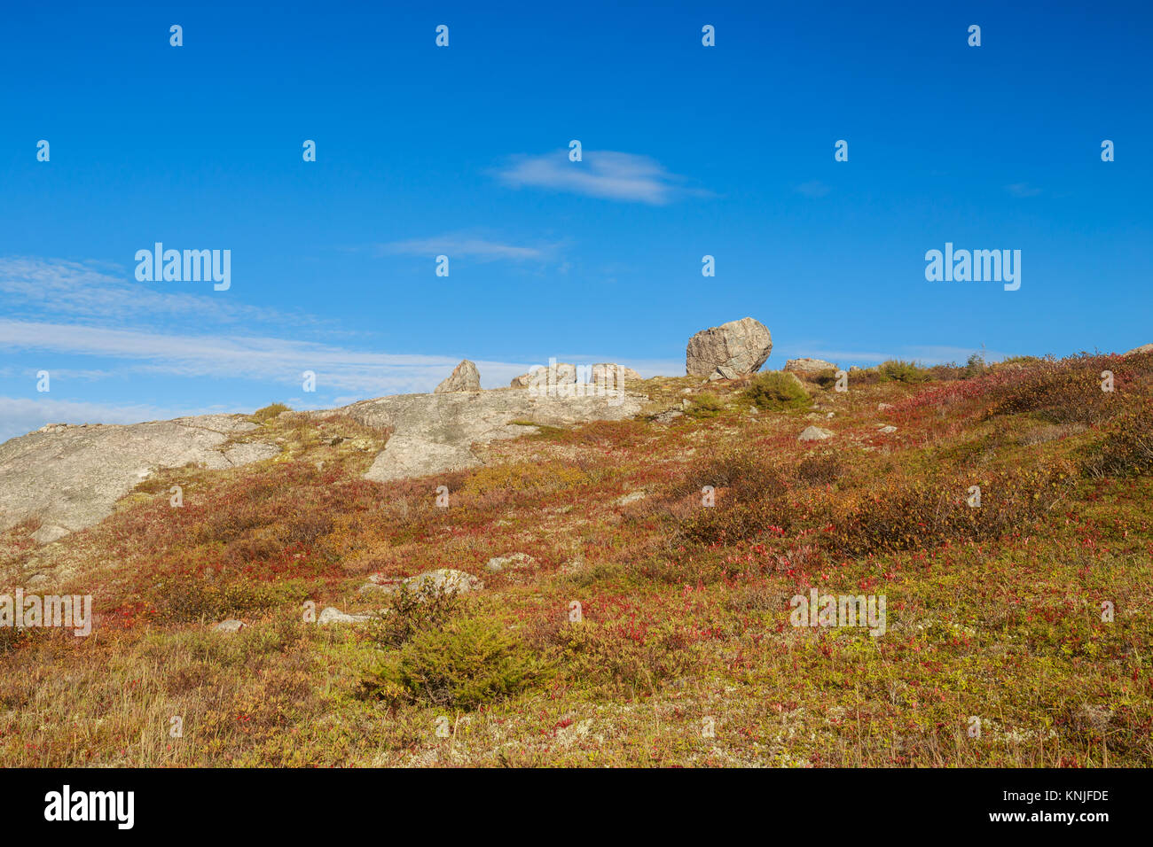 Rocks left by glaciers on the barrens of Newfoundland's Avalone ...