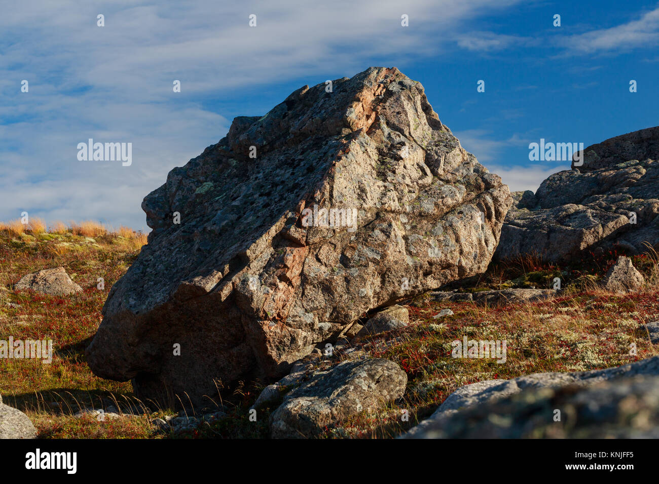 Rocks left by glaciers on the barrens of Newfoundland's Avalone ...
