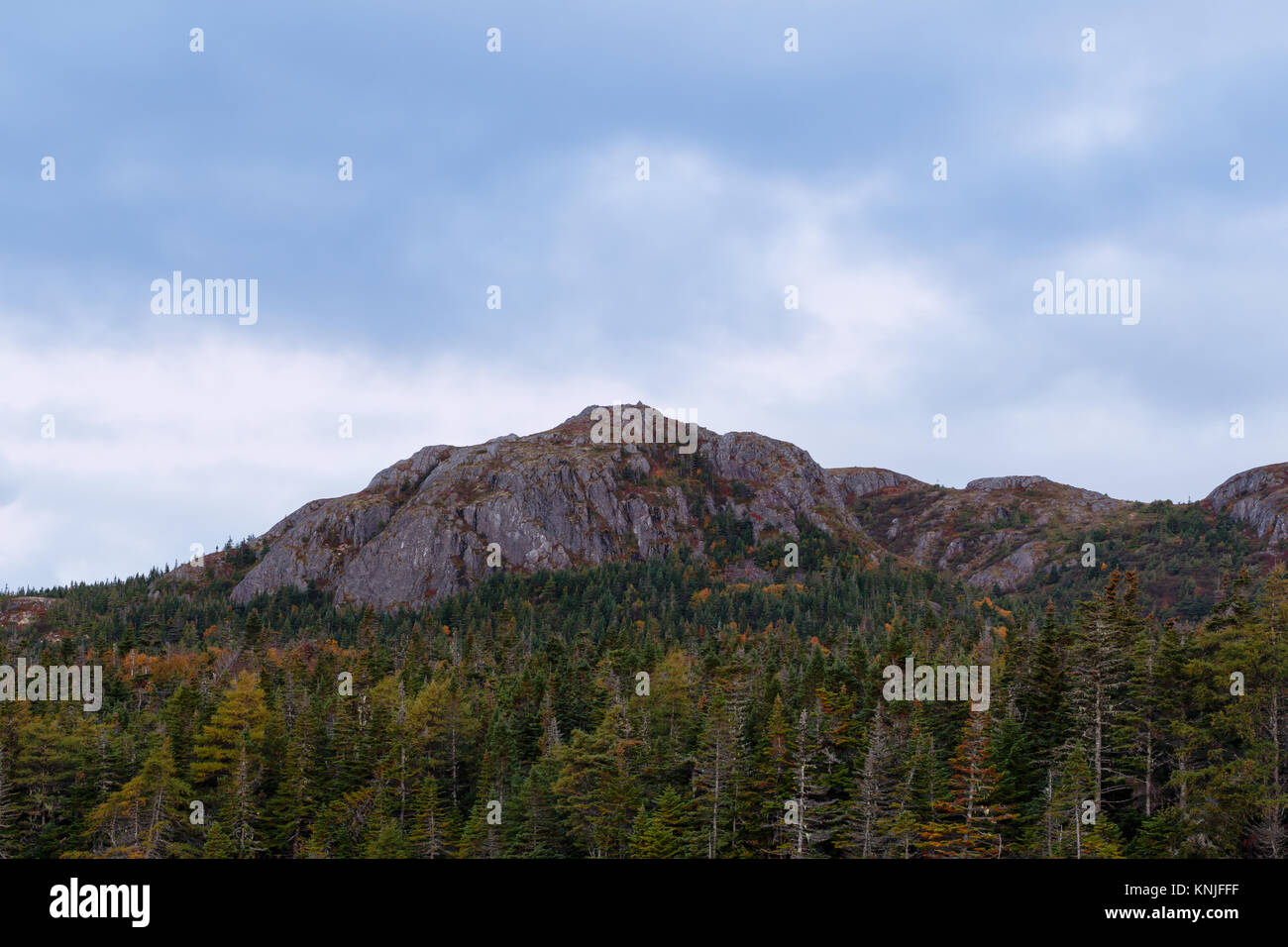 Avondale hi-res stock photography and images - Alamy