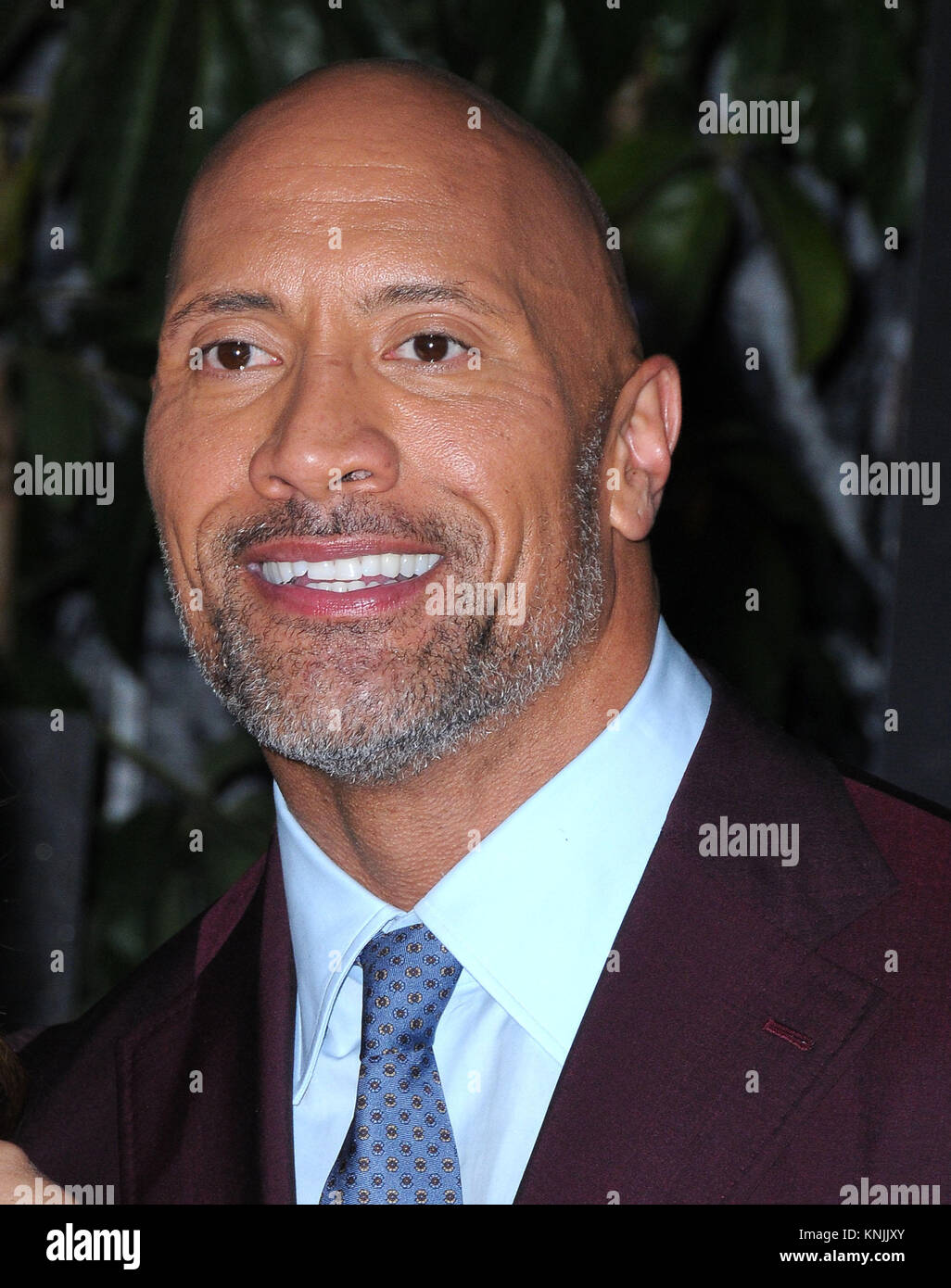 Hollywood, USA. 11th Dec, 2017. Actor Dwayne Johnson attends the ...