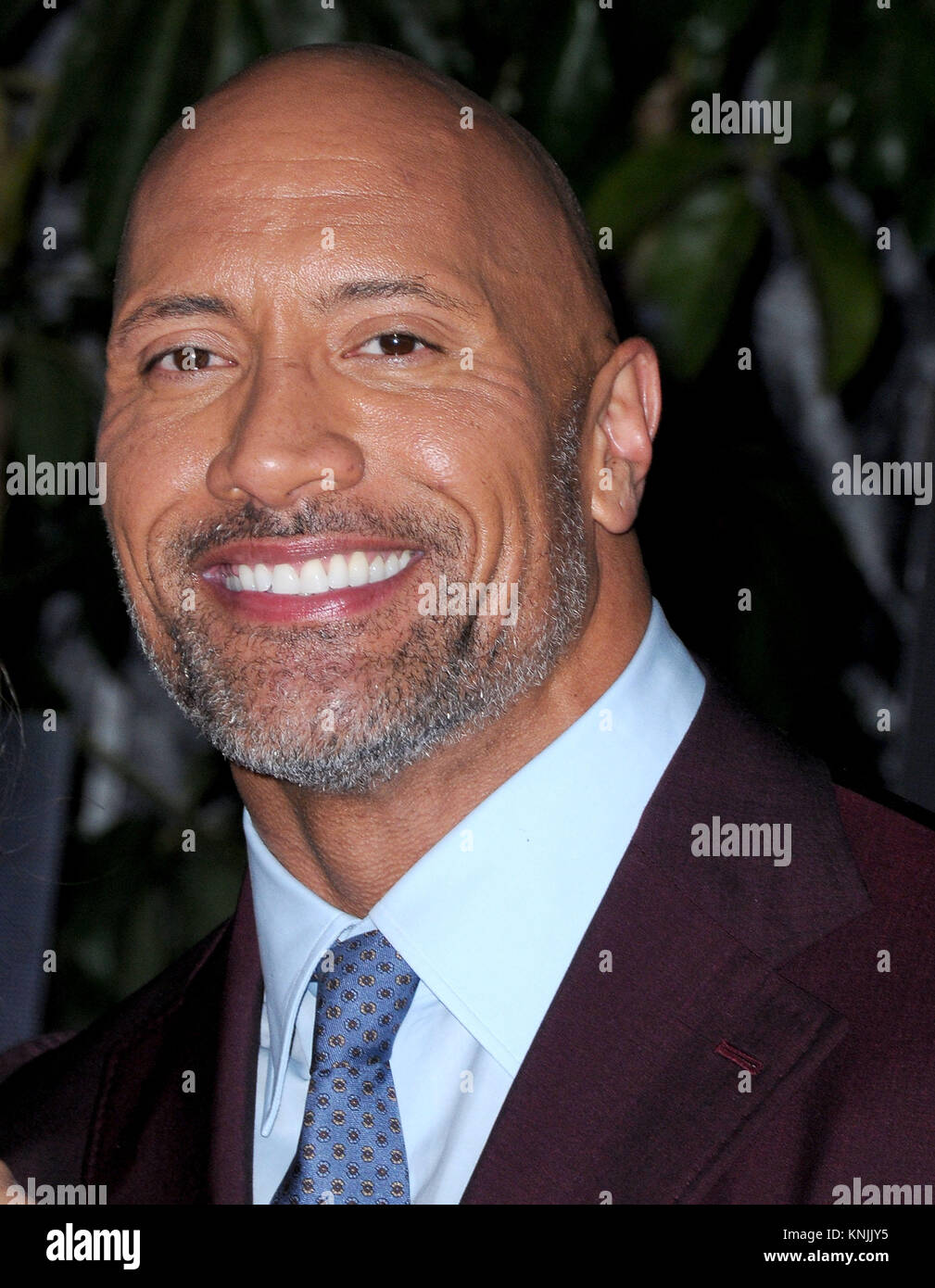 Hollywood, USA. 11th Dec, 2017. Actor Dwayne Johnson attends the ...