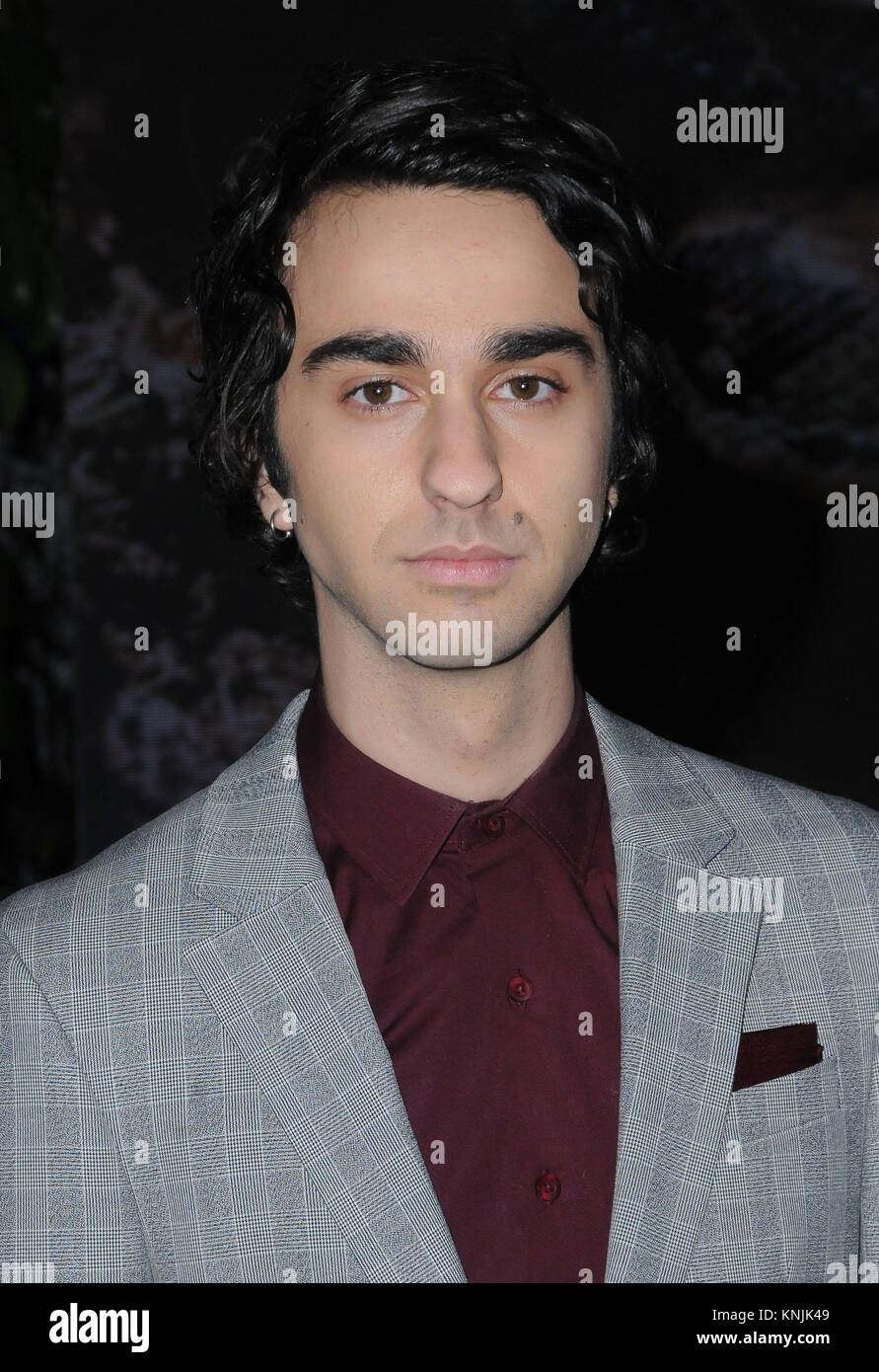 10 December 2017 - Hollywood, California - Alex Wolff. "Jumanji ...