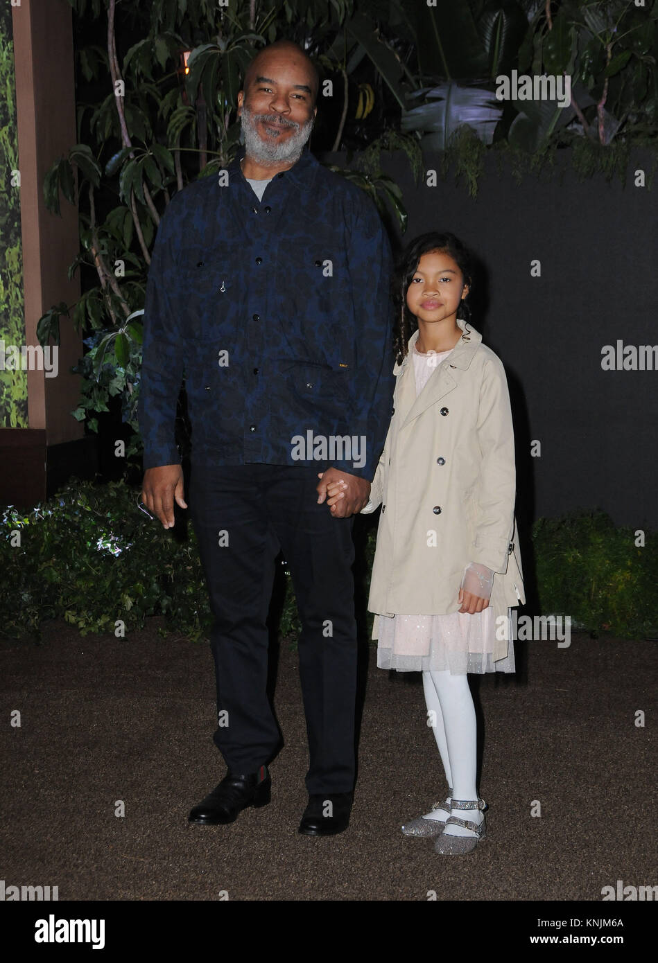 David Alan Grier Jumanji