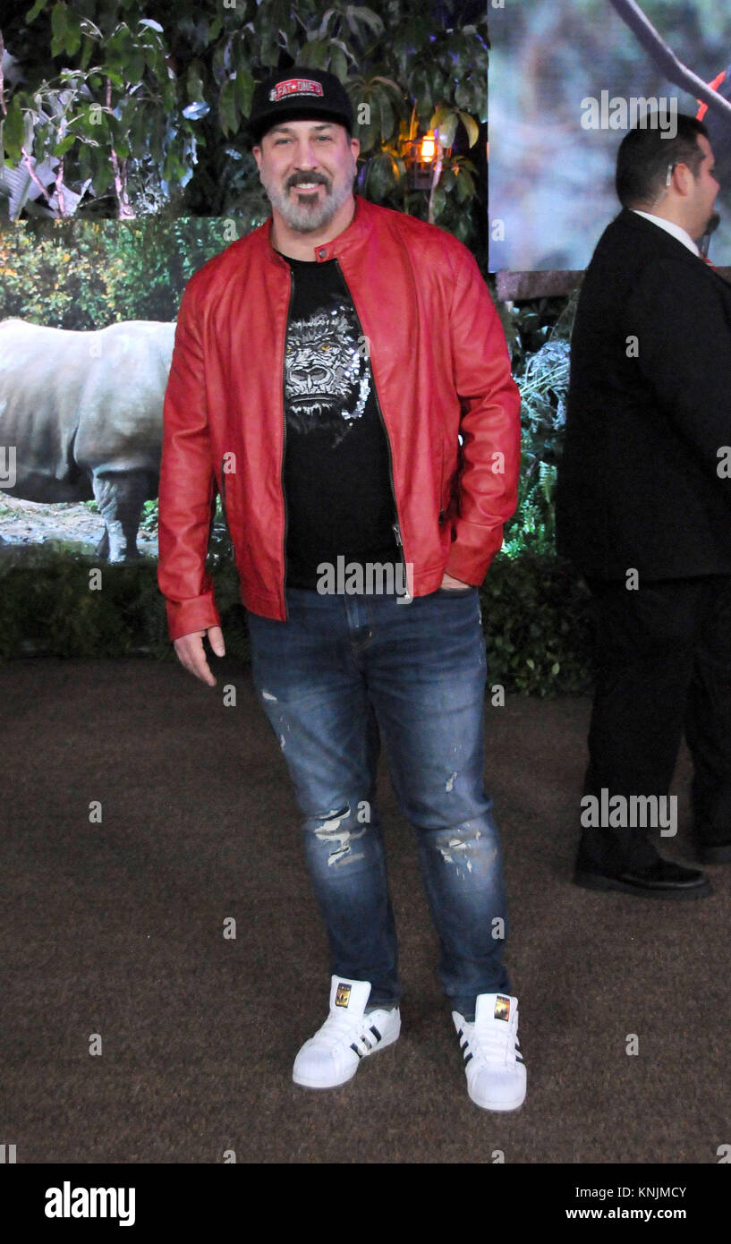 Hollywood, USA. 11th Dec, 2017. Singer Joey Fatone attends the premiere ...