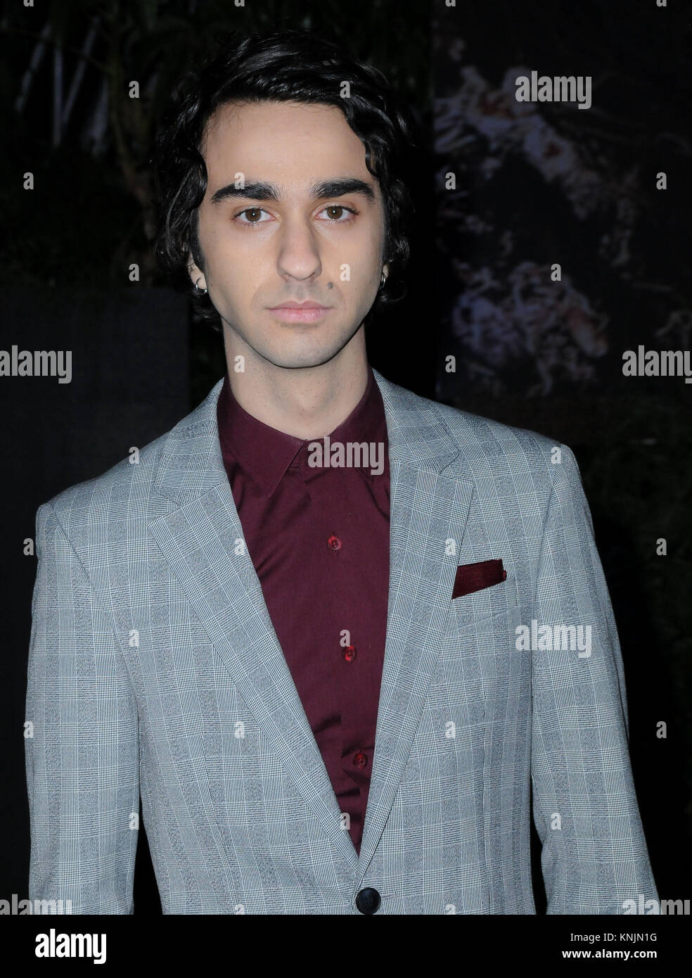 Hollywood, USA. 11th Dec, 2017. Actor Alex Wolff attend the premiere of ...