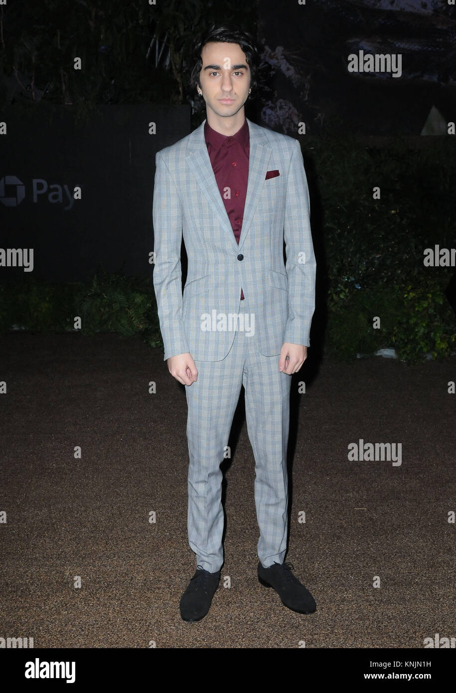 Hollywood, USA. 11th Dec, 2017. Actor Alex Wolff attend the premiere of ...
